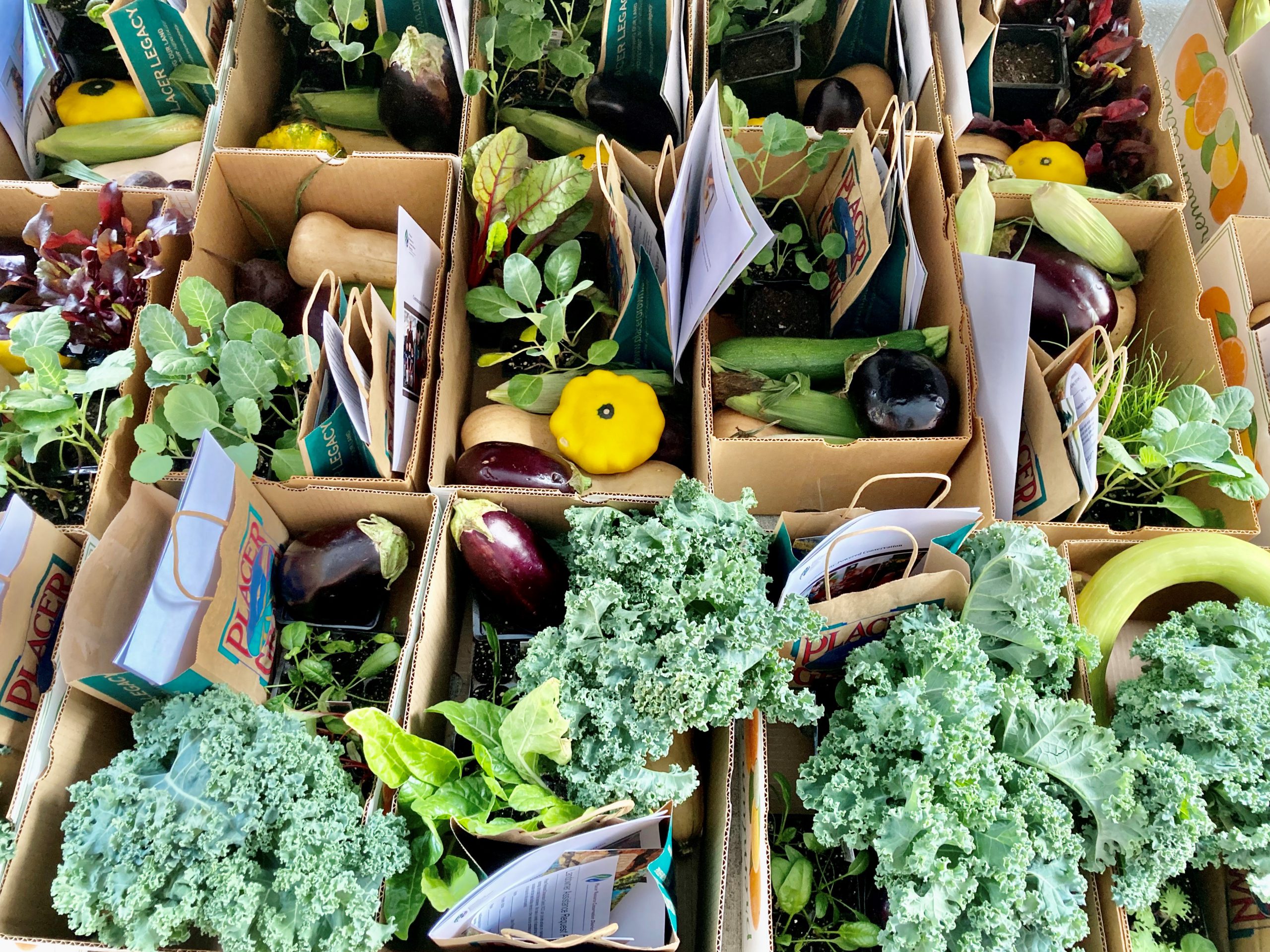 Planting Hope - Placer Resource Conservation District