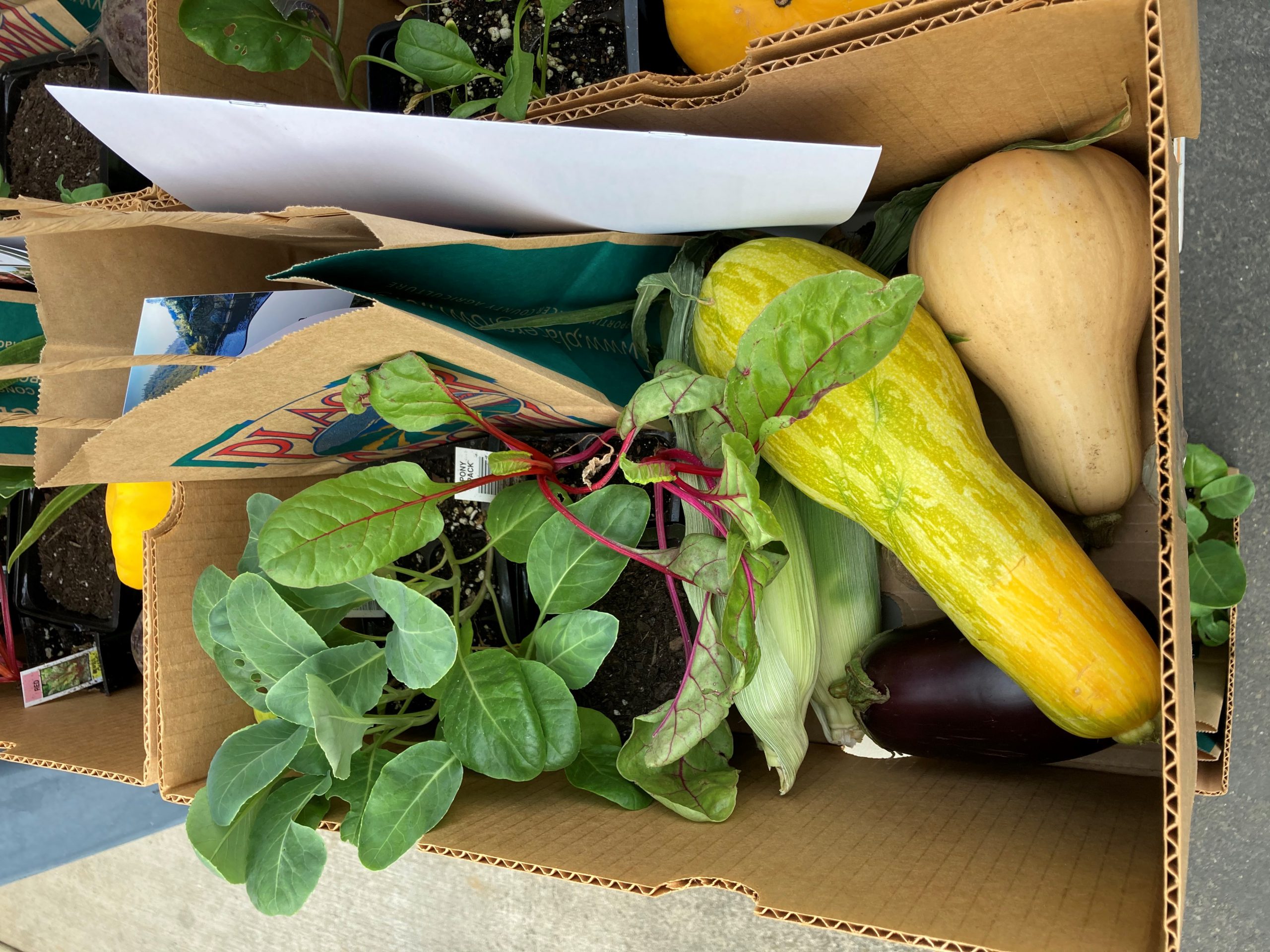 Planting Hope - Placer Resource Conservation District