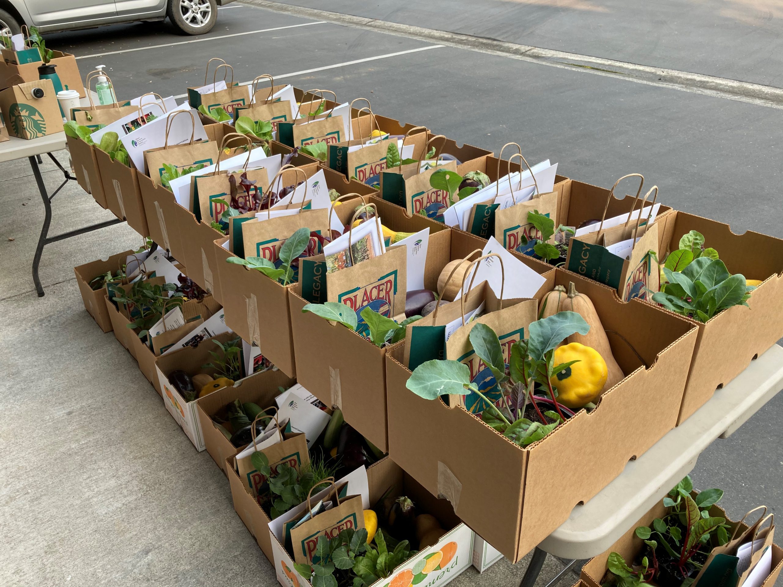 Planting Hope - Placer Resource Conservation District