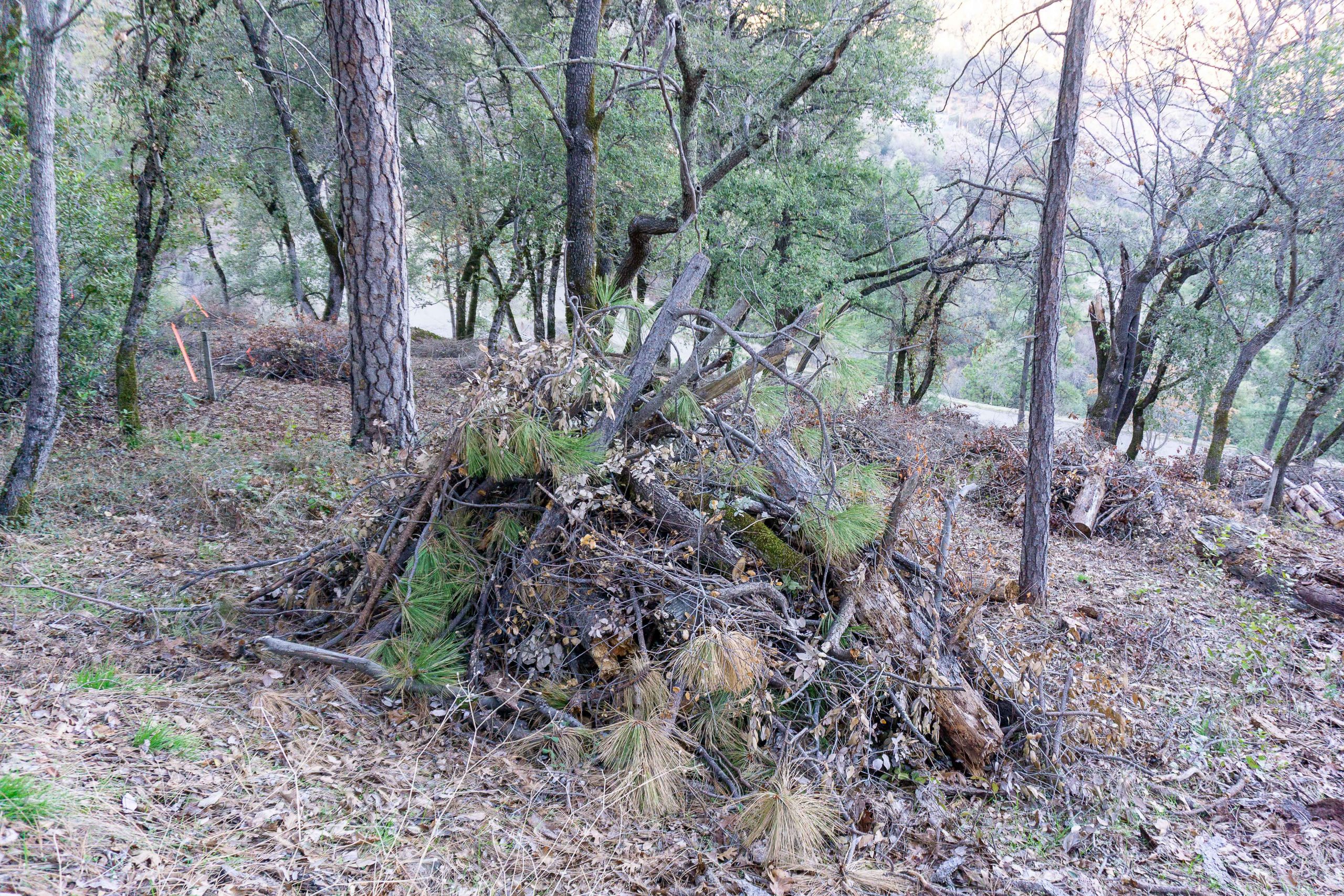 Auburn Shaded Fuel Break - Placer Resource Conservation District