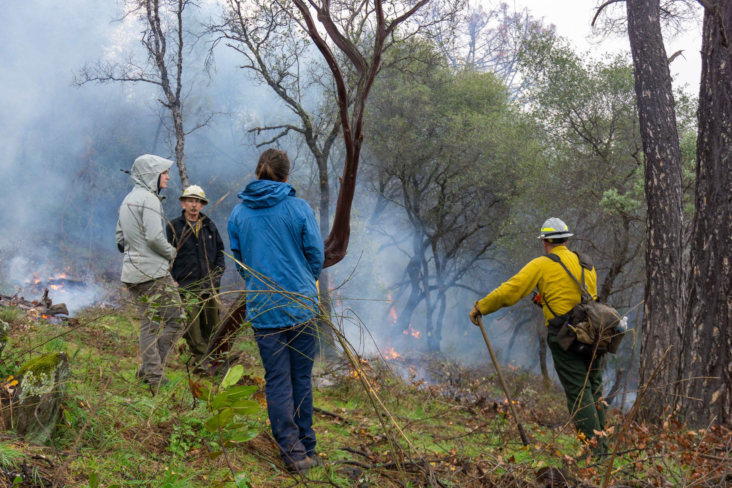 Auburn Shaded Fuel Break - Placer Resource Conservation District