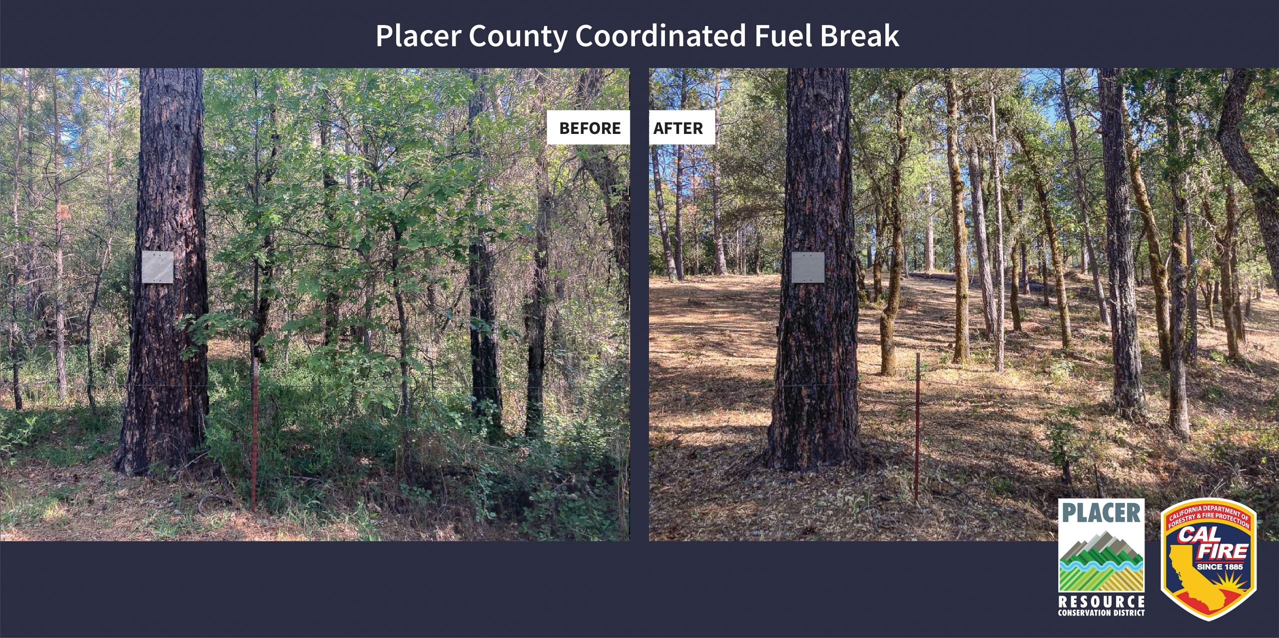 Placer County Coordinated Fuel Break - Placer Resource Conservation ...