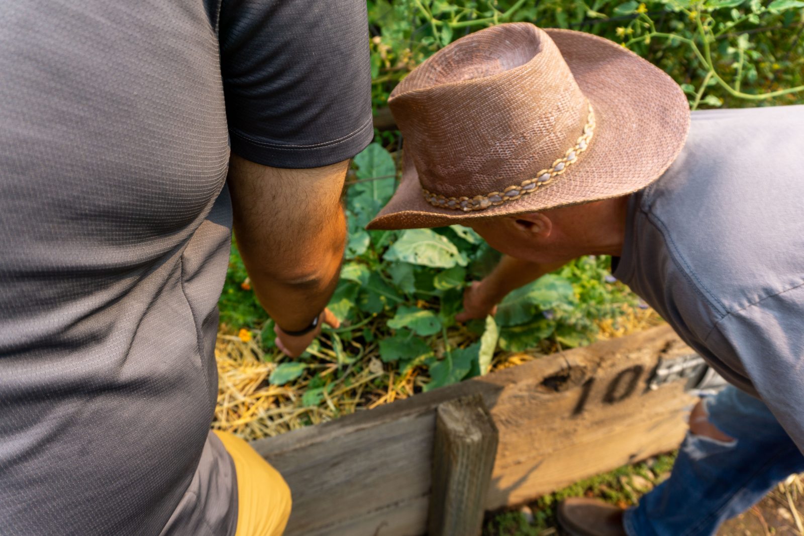 Urban Ag & Community Initiative - Placer Resource Conservation District