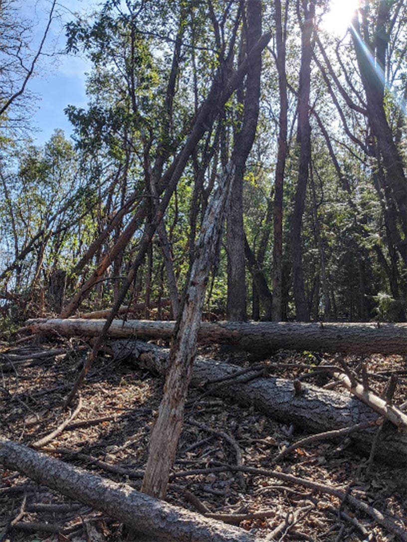 Regional Conservation Partnership Program - Placer Resource ...