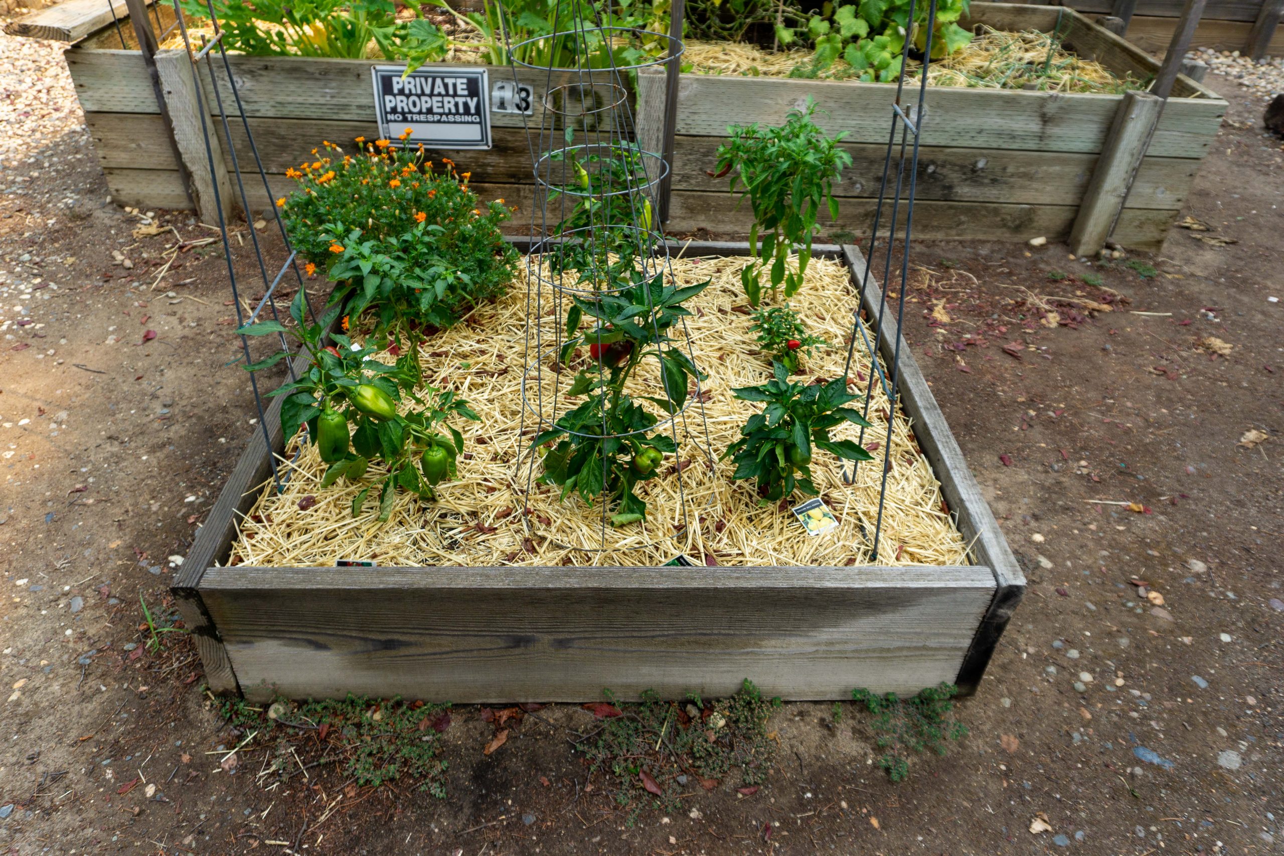 Assistance for Backyard & Community Ag - Placer Resource Conservation ...
