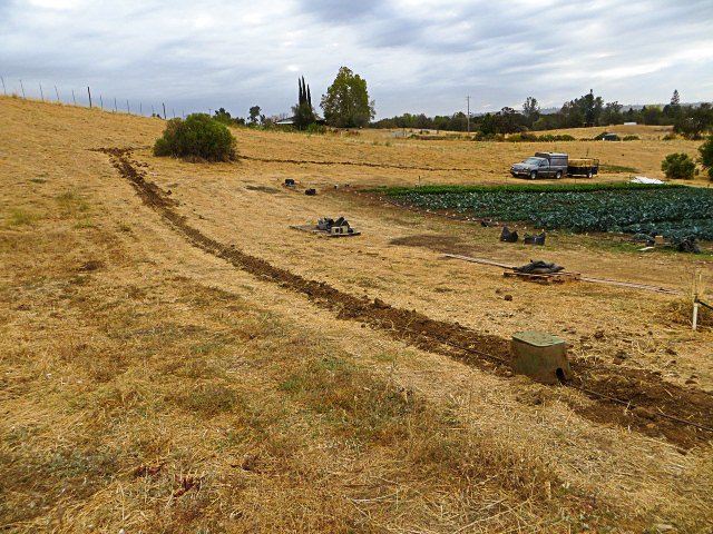 Hillview Farms Pollinator Hedgerow - Placer Resource Conservation District