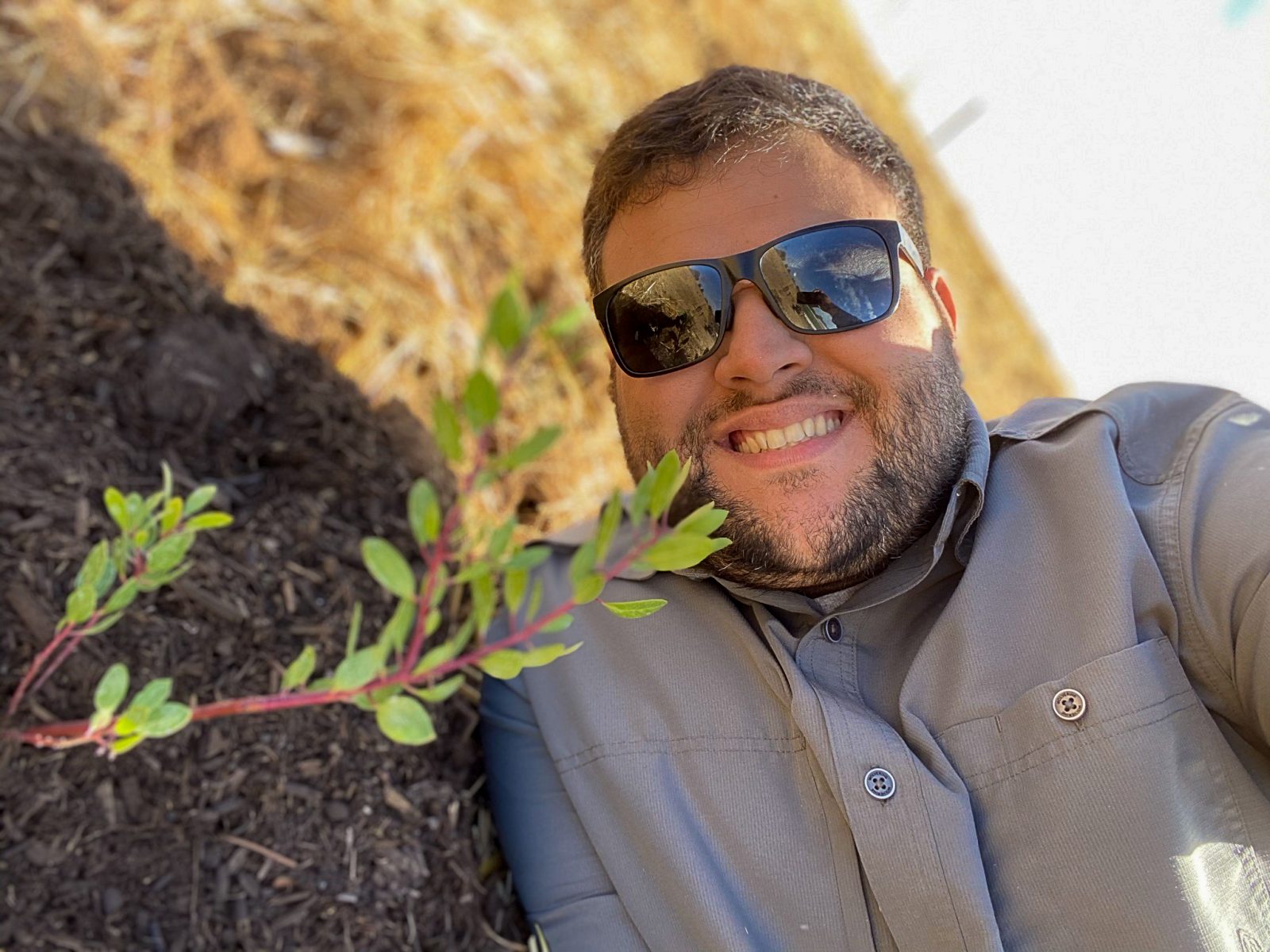 Hillview Farms Pollinator Hedgerow - Placer Resource Conservation District