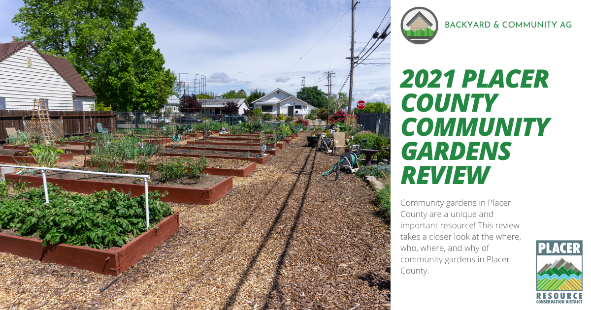 2021 Placer County Community Gardens Review - Placer Resource ...