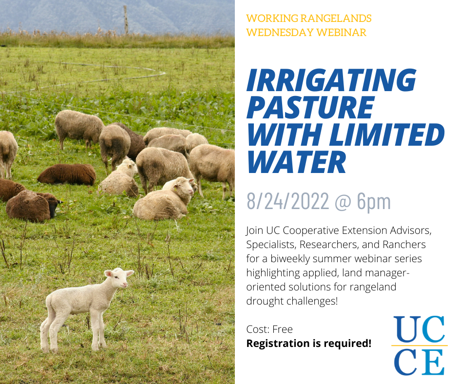 Irrigating Pasture with Limited Water: Working Rangelands Wednesday ...
