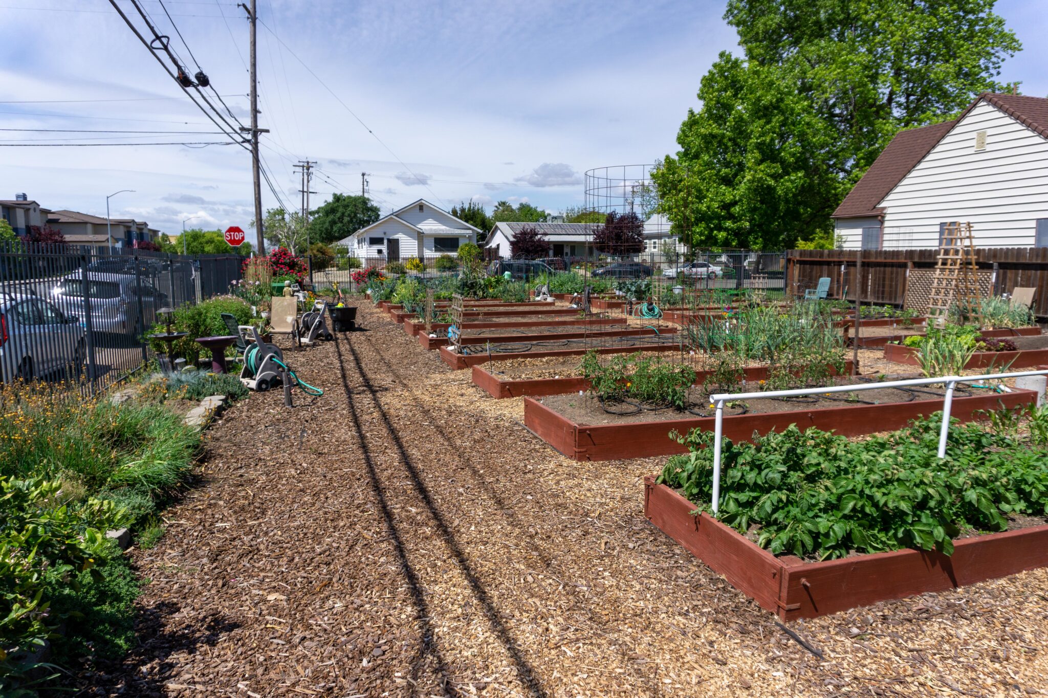 2021 Placer County Community Gardens Review - Placer Resource ...