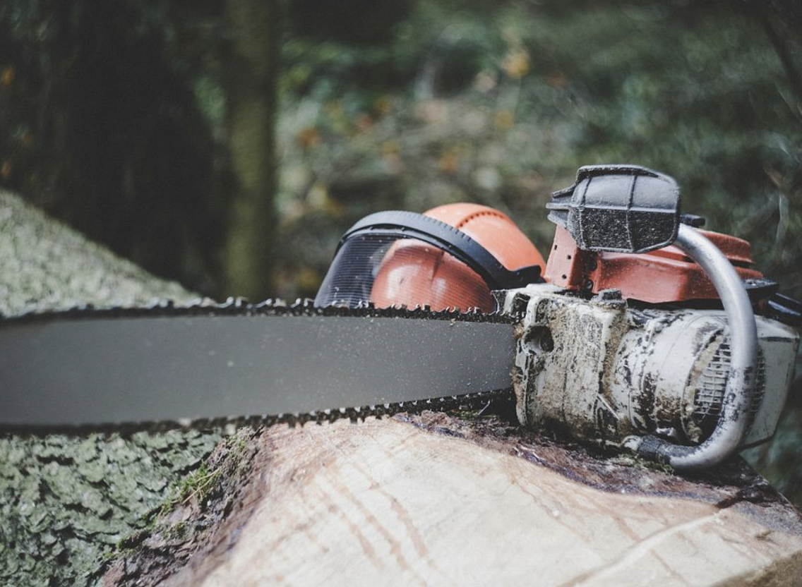 Chainsaw Basics - Placer Resource Conservation District