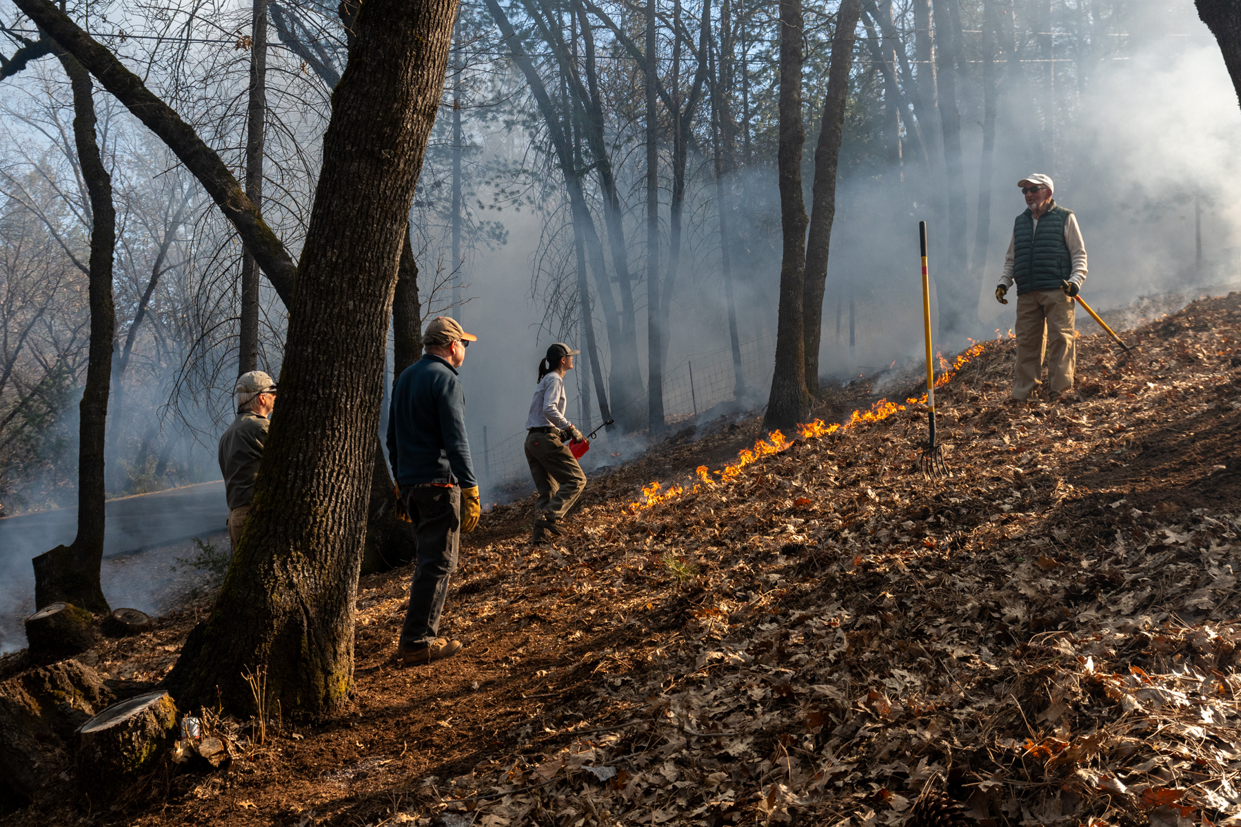 Virtual Rx Burning Landowner Panel - Placer Resource Conservation District